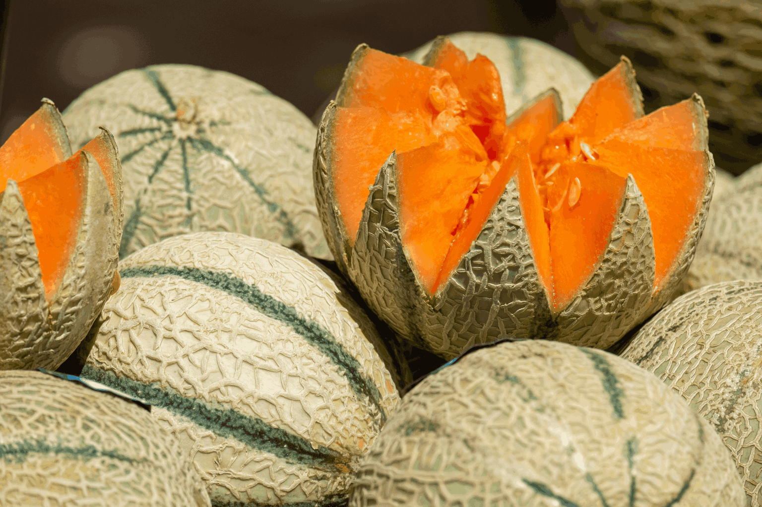 How To Grow Watermelon And Muskmelon From Seed To Harvest Wal Pencil