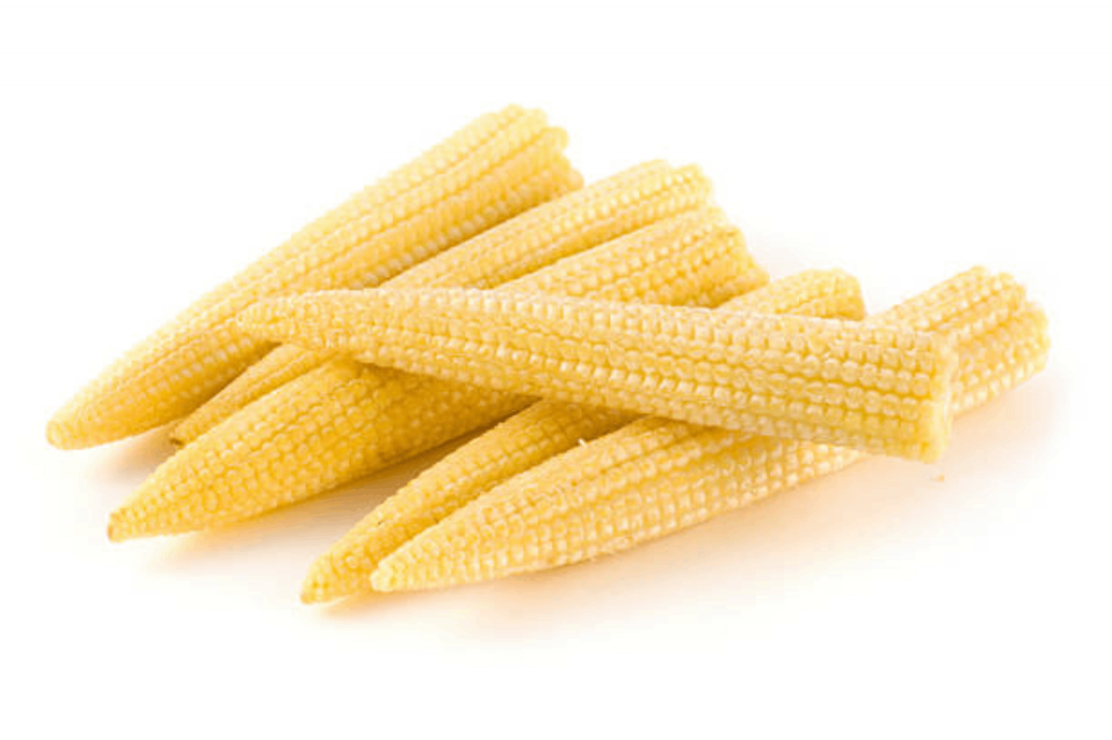 How to Grow Baby Corn from Seed to Harvest - Wal Pencil